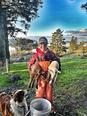 Alaska Farming | The Last Small Farm