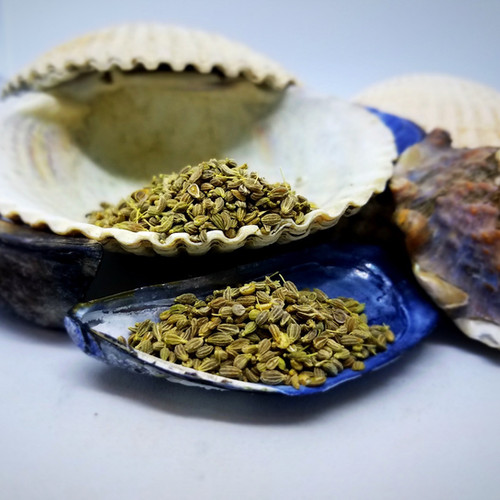 Anise Seed Whole | harborteaspice