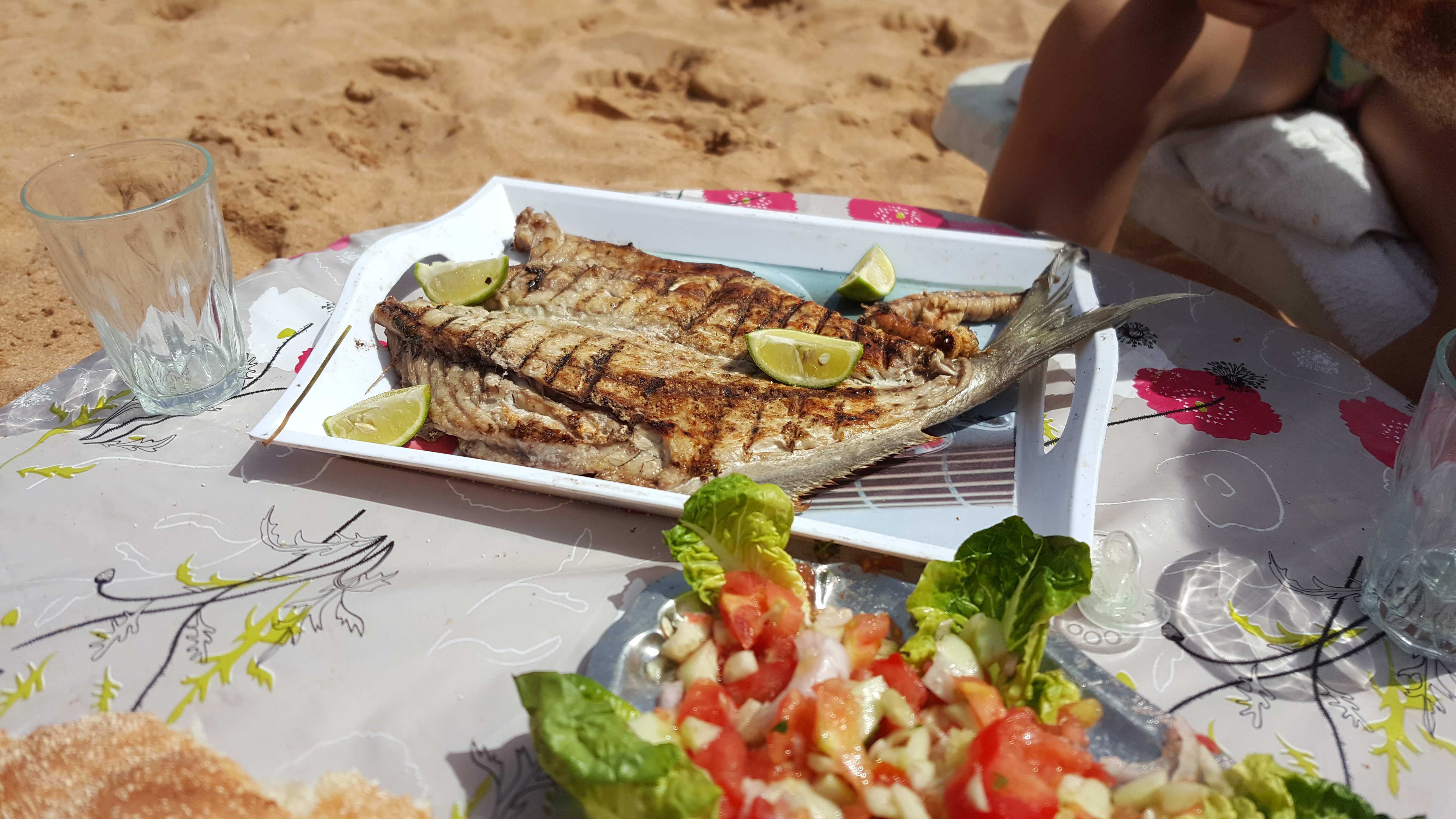 A Lazy Day In Oualidia | Day Trips | Marrakech Tours