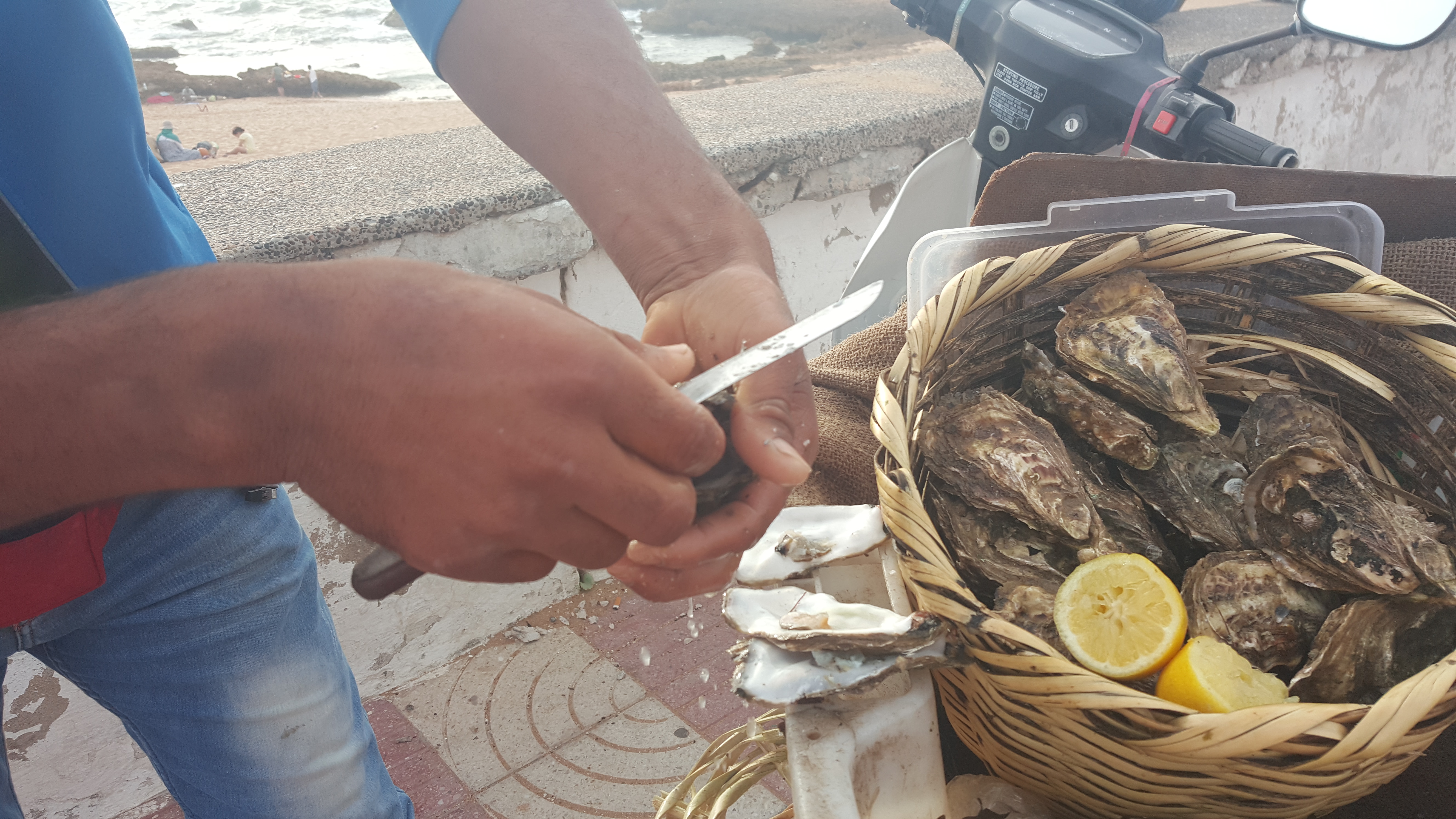 A Lazy Day In Oualidia | Day Trips | Marrakech Tours