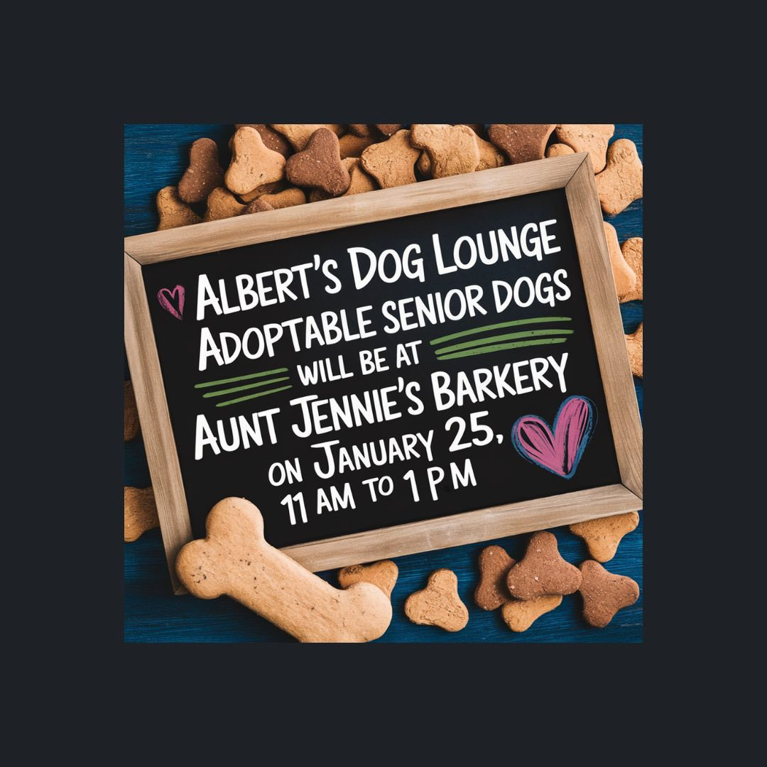 Albert's Dog Lounge at Auntie Jennie's Barkery | Albert's Dog Lounge