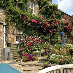 About | Druidstone Hotel