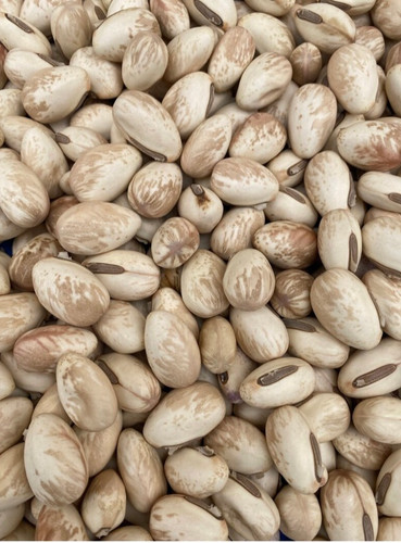 Togo-sword beans, 200g seeds /$5, shipping $10, phyto certificate $12 ...