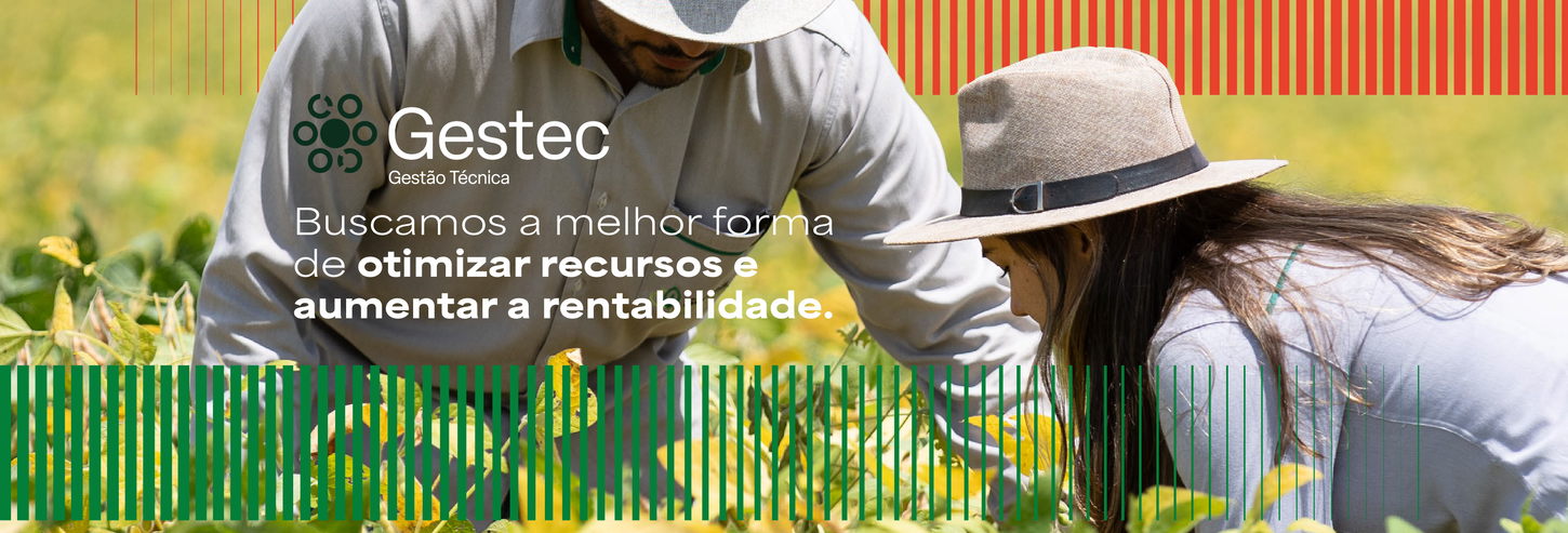 Início | Semear Performance