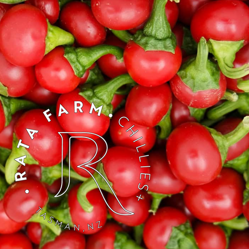 Cherry Hot Seeds | Rata Farm