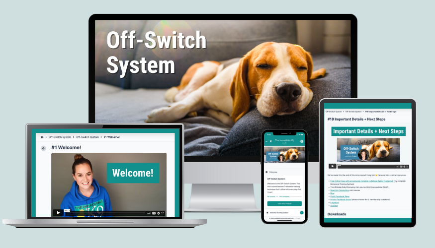 Training | The Incredible K9 | Off-Switch System Online Mini-Course