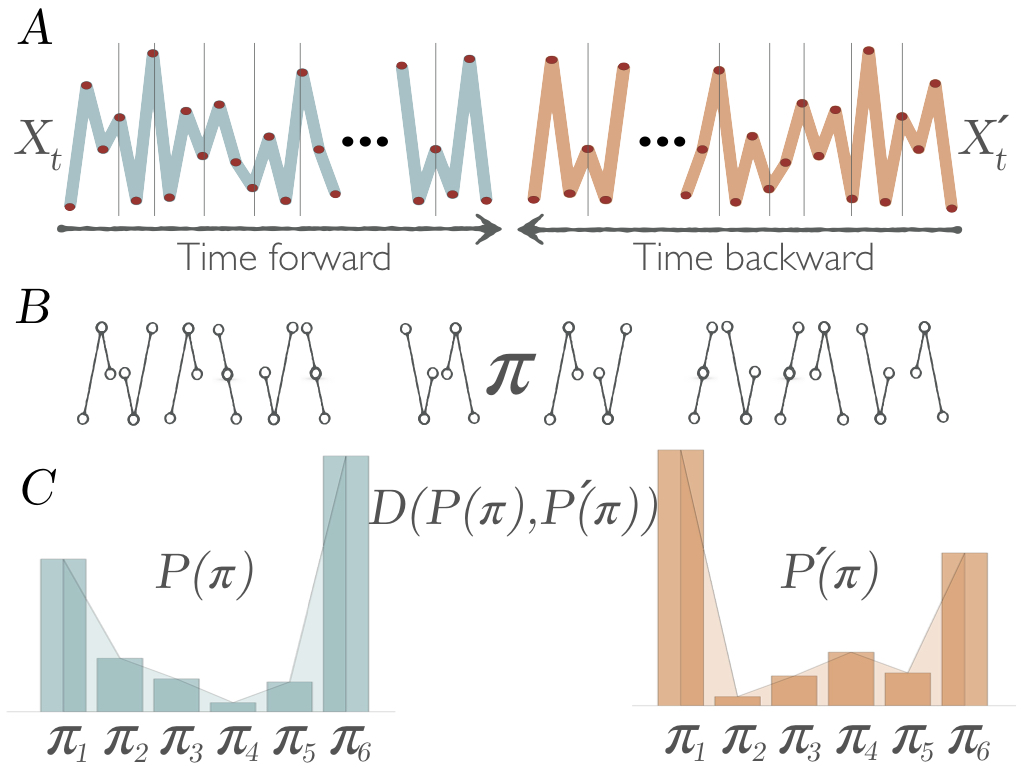 Code for Time Reversibility by Ordinal Patterns (TiROP). Published in Chaos