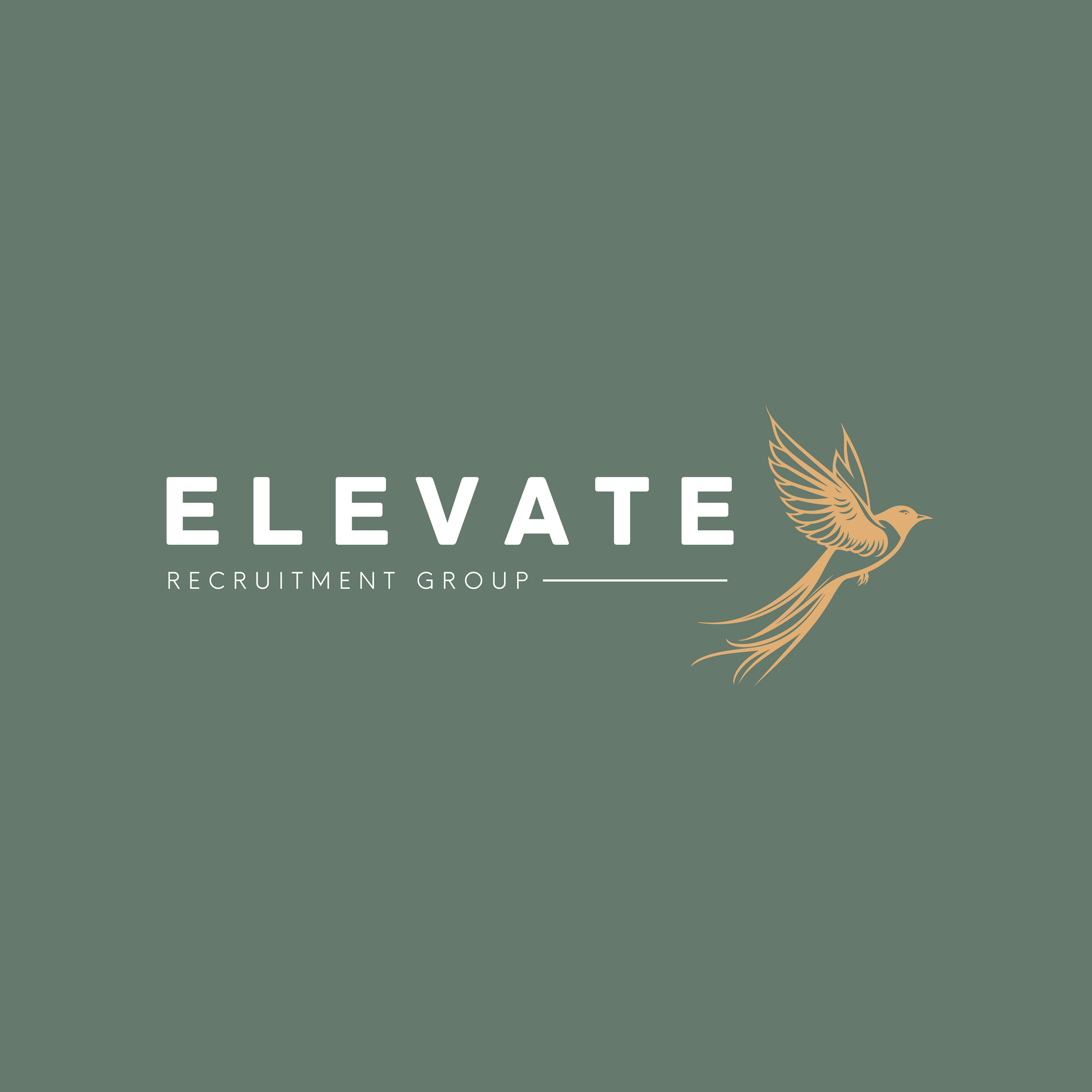 Home | Elevate Recruitment Group