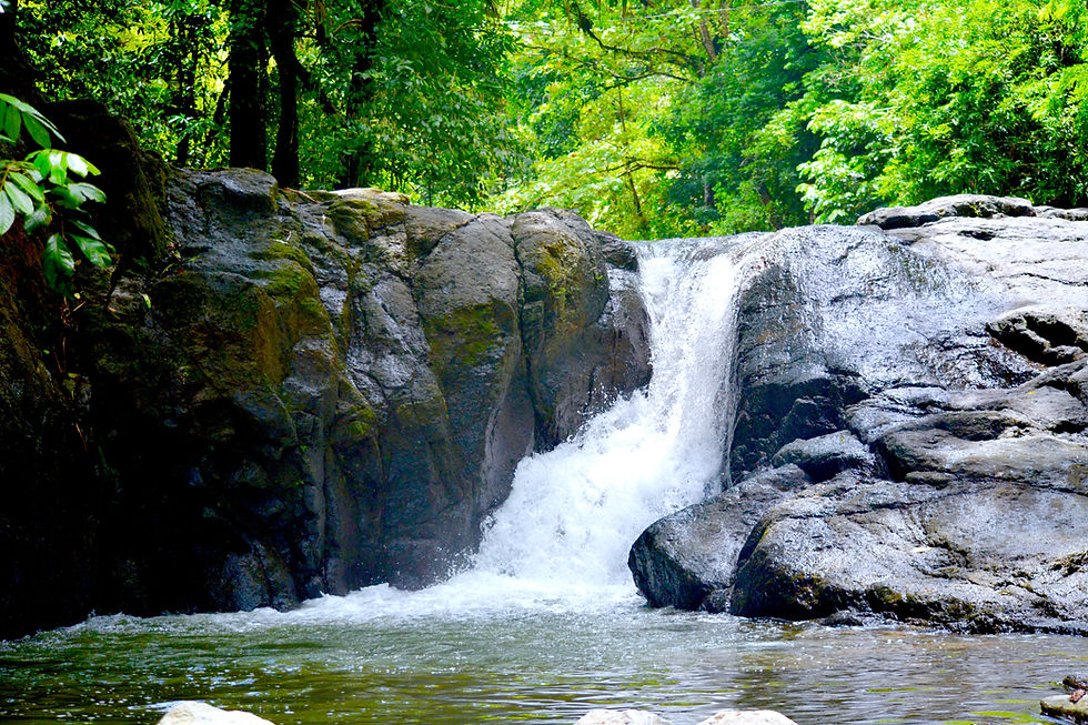 8 Glorious Waterfalls in the South Pacific of Costa Rica