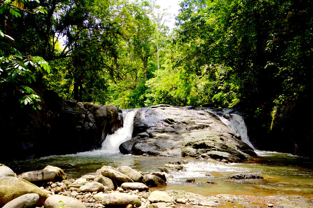 8 Glorious Waterfalls in the South Pacific of Costa Rica