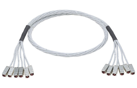 Trunk Cable Loomed, Cat6, 6x4P, 650MHz | Matrix Global Networks
