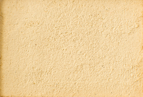 クリーム | 株式会社notoco