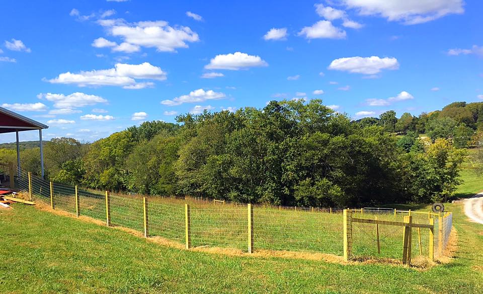 Fence Photo Gallery | Mount Juliet | RT Hale Construction, LLC
