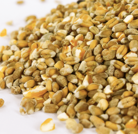 Economy Mixed Poultry Corn 20kg | Newland Poultry