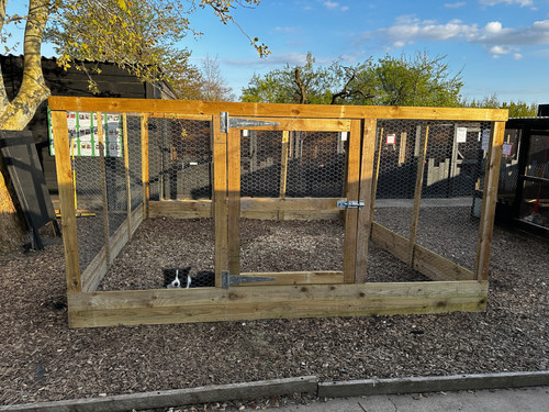 Walk in Chicken Runs | Newland Poultry