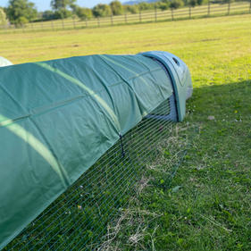 Chicken Boarding | Newland Poultry