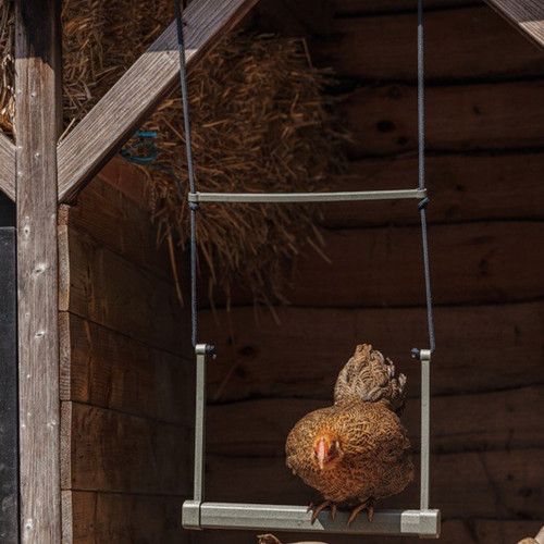 Beeztees Chicken Swing | Newland Poultry