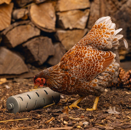 Beeztees Chicken Treat Snack Roller | Newland Poultry