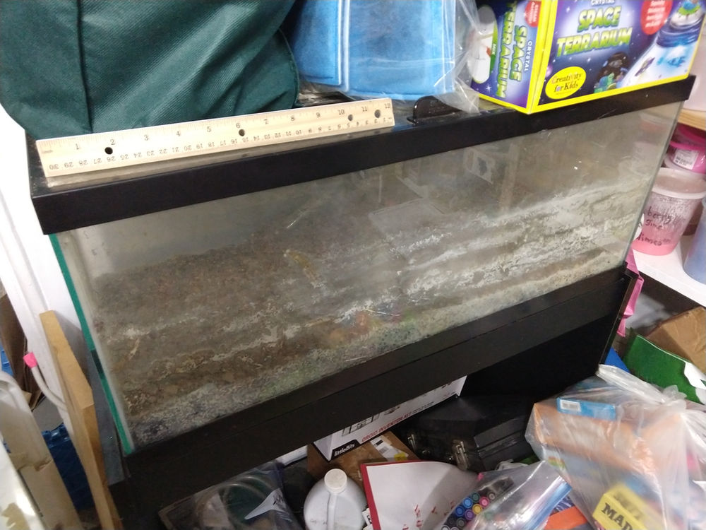 Free 20g long aquarium | Potomac Valley Aquar