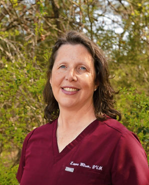 About | Magnolia Small Animal Hospital