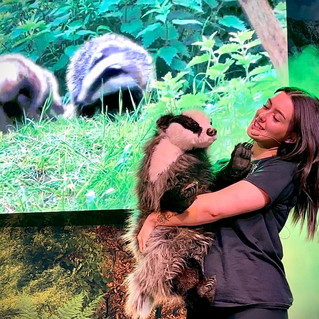 GALLERY | Animalguyz