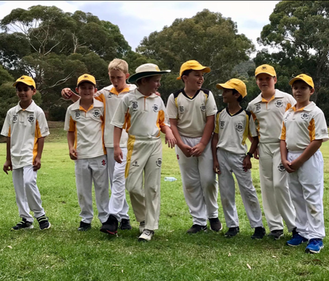 Galleries | Brighton CC