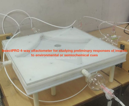 4-way Insect Olfactometer | Olfactometer