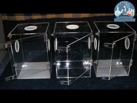 Insect Cage Acrylic 4s1010 | Flekcible