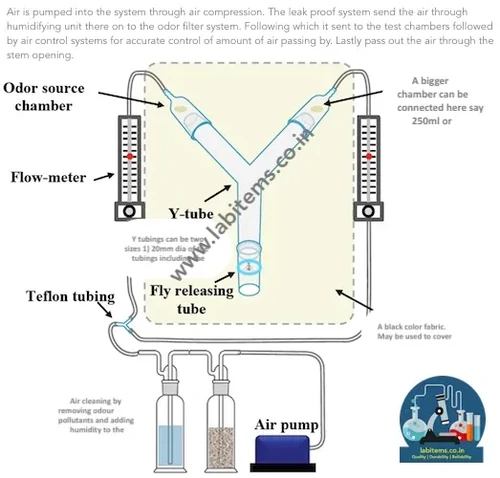 Y-tube Olfactometer for Entomology | Olfactometer
