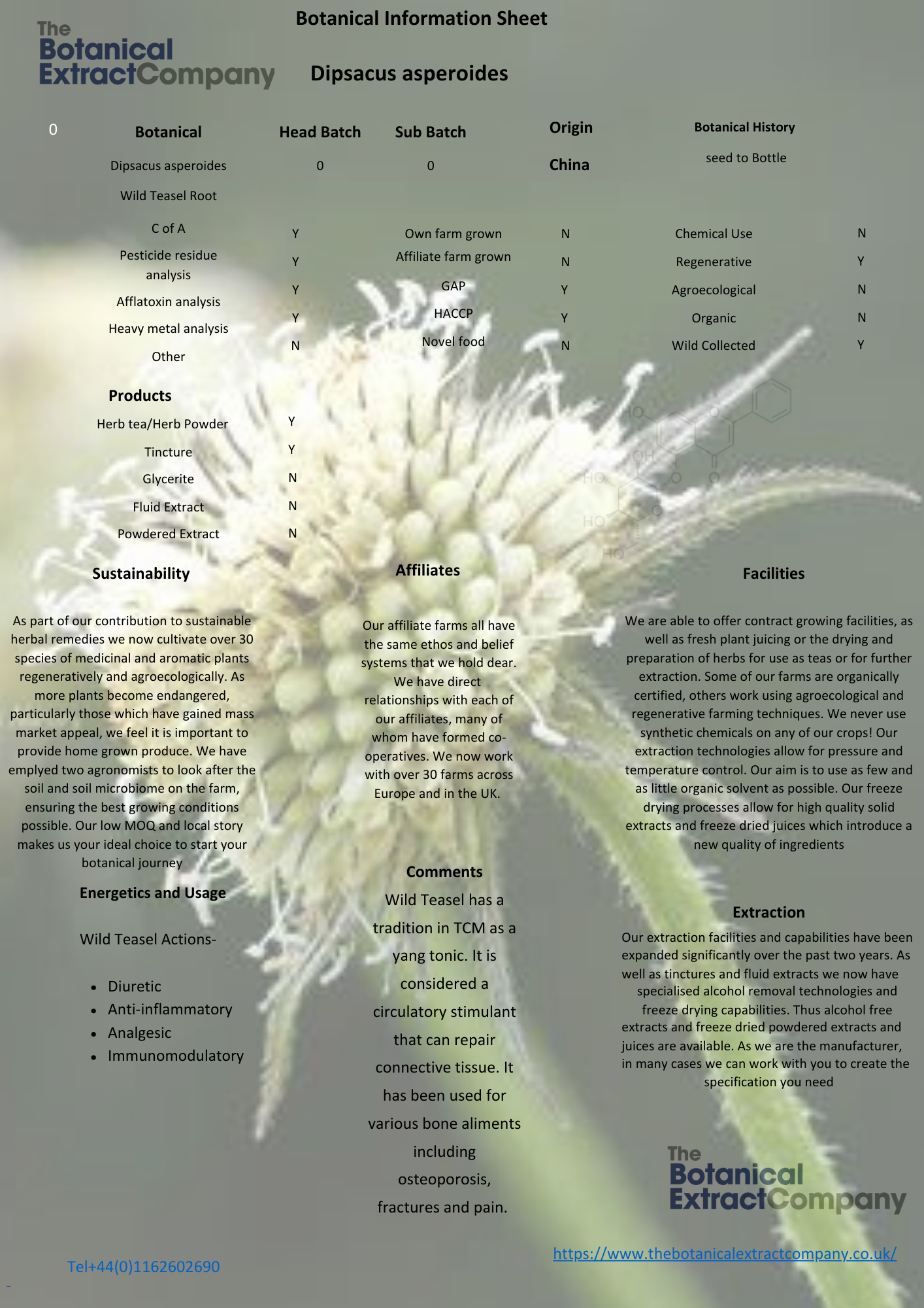 Herb Species D | Botanical Extract Co