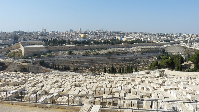 Videos & Resources About The Holy Land by HolyLandSite.com