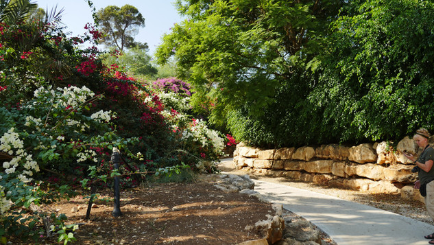 Gideon's Spring (Harod Spring), Israel: Gideon Defeats the Midianites ...