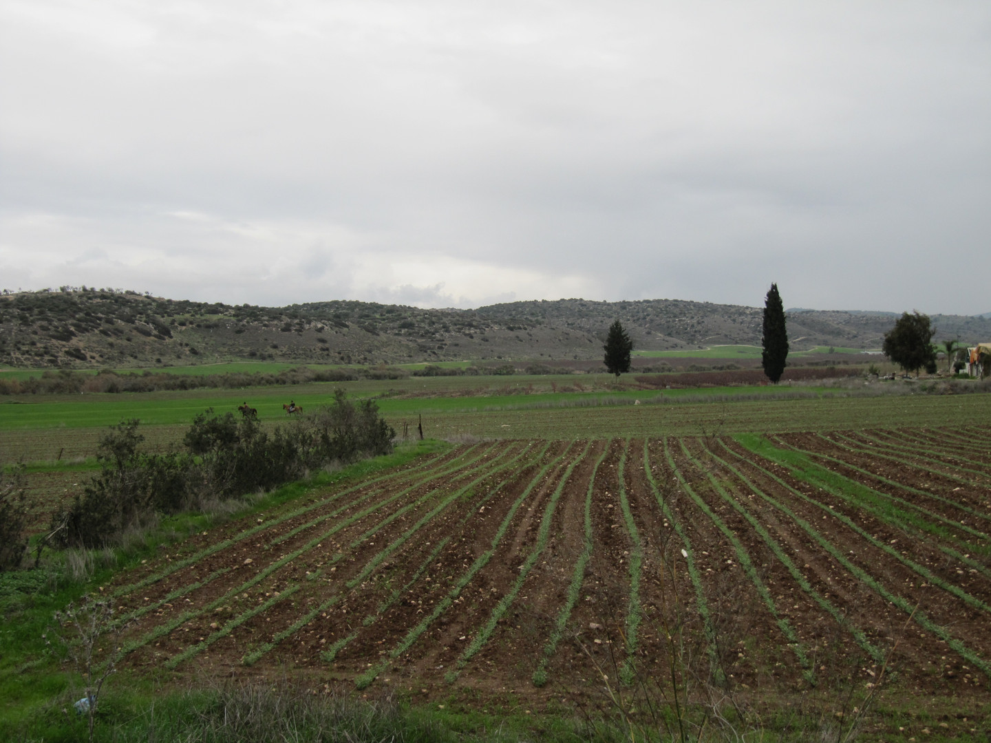 Valley of Elah: Epic battle between David and Goliath!