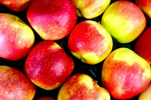 Pomme Jonagold Belgique - 1Kg | Marius