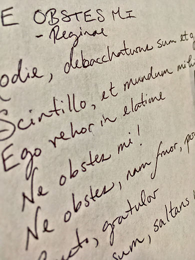 Latin Greek Teaching Performance | Beau Henson: Allusions of Grandeur