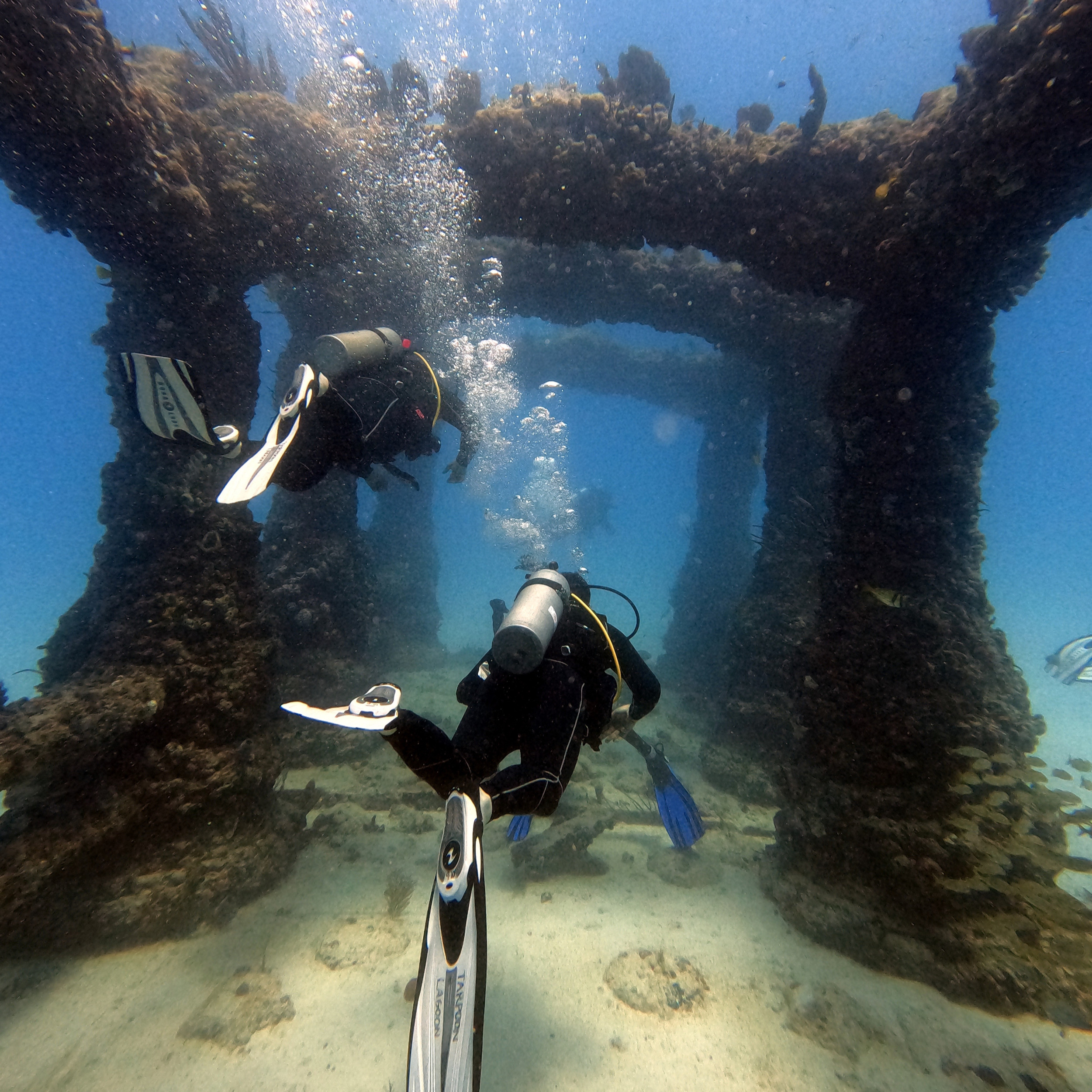 The Neptune Memorial Reef: A Surreal Scuba Diving Adventure