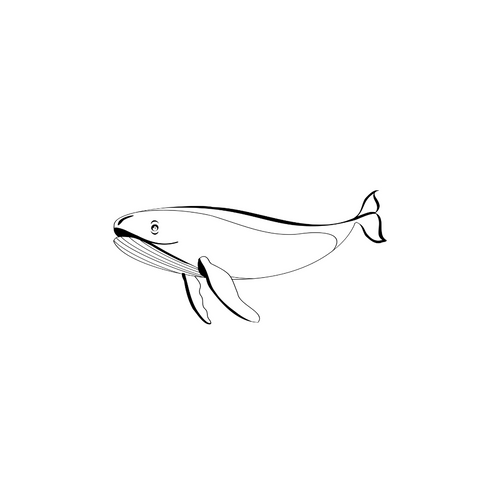 Whale PNG and SVG Files | Reber R41