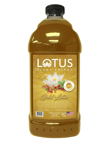 Gold Lotus Concentrate | Caffe D'arte Alaska