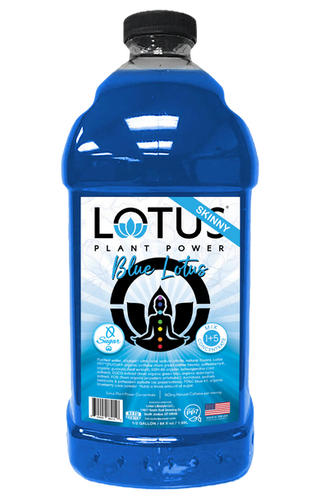 Skinny Blue Lotus Concentrate | Caffe D'arte Alaska