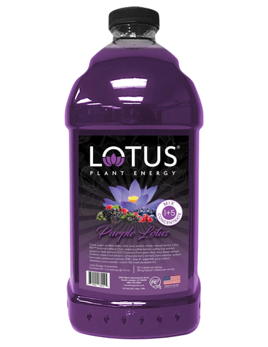 Purple Lotus Concentrate | Caffe D'arte Alaska