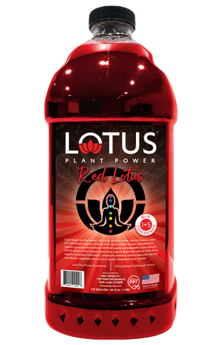 Red Lotus Energy Concentrate | Caffe D'arte Alaska