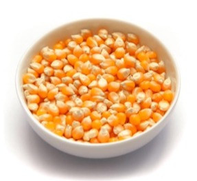 Maiz Pisingallo | Don Hipolito Nueces