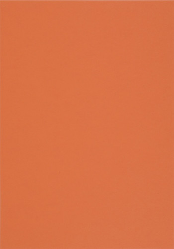 Rust | Colorplan Indonesia