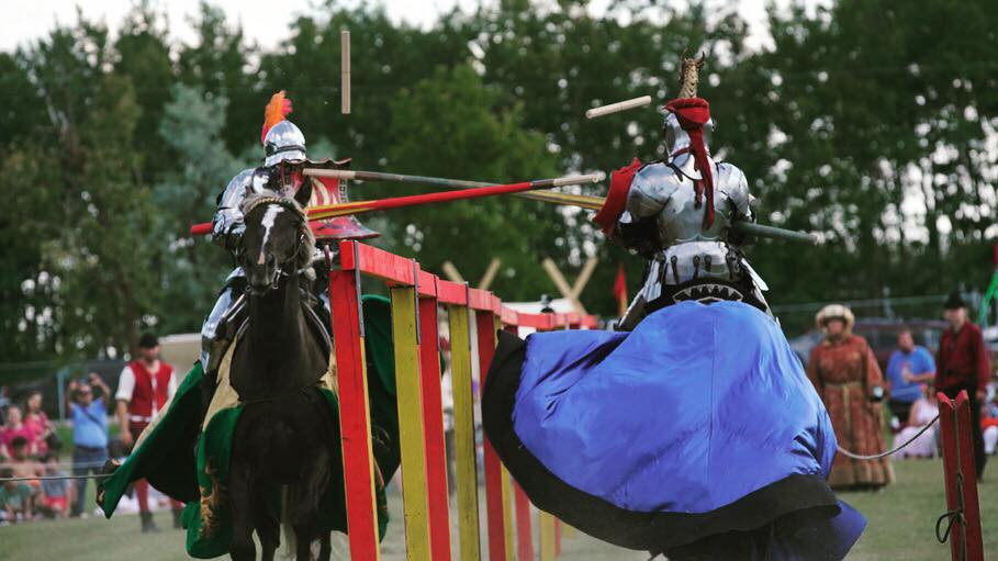 Contact | Society of Tilt and Lance Cavalry