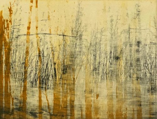 Forest Sketch Ve1 Oak And Oil