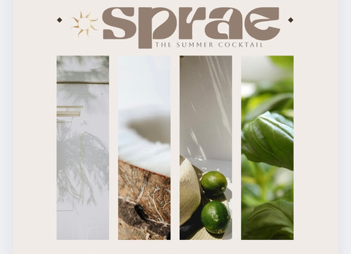 Sprae - The Summer Cocktail | Brio Hair Company