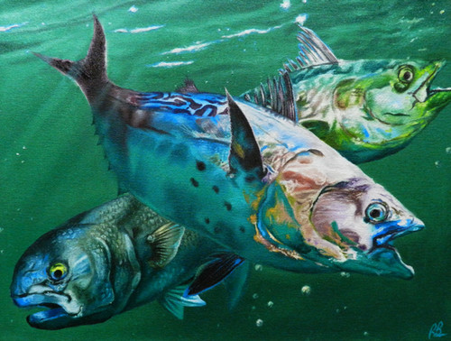 False Albacore Limited Edition Print | artist