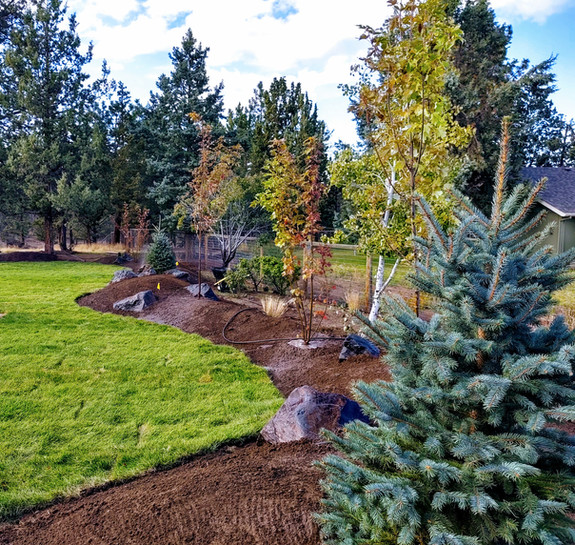 Highest-Quality Landscaping in Bend | Yak Landscapes