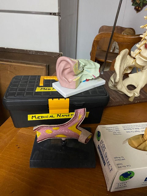 Medical | Moondrops N Props