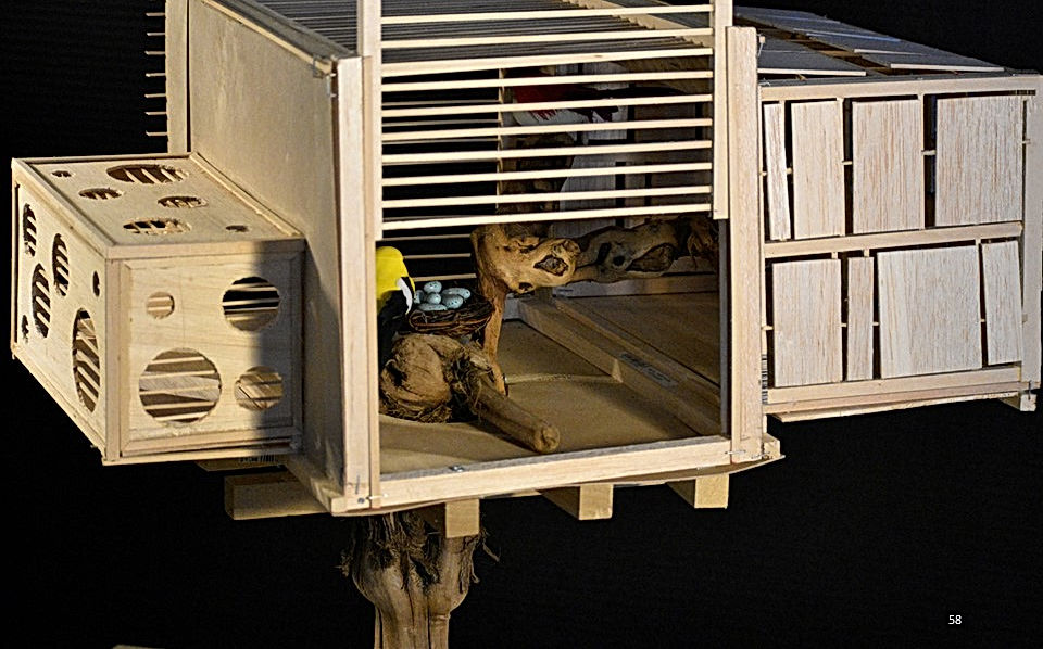 Animal House | Archi-portfolio